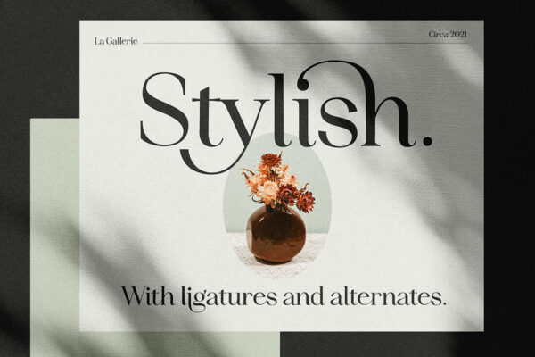 40 Modern Serif Fonts • Bookmark This! • Little Gold Pixel