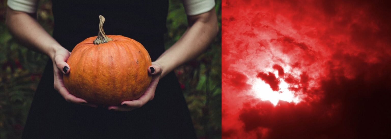 Witchy Color Palette for Fall Magic • Little Gold Pixel
